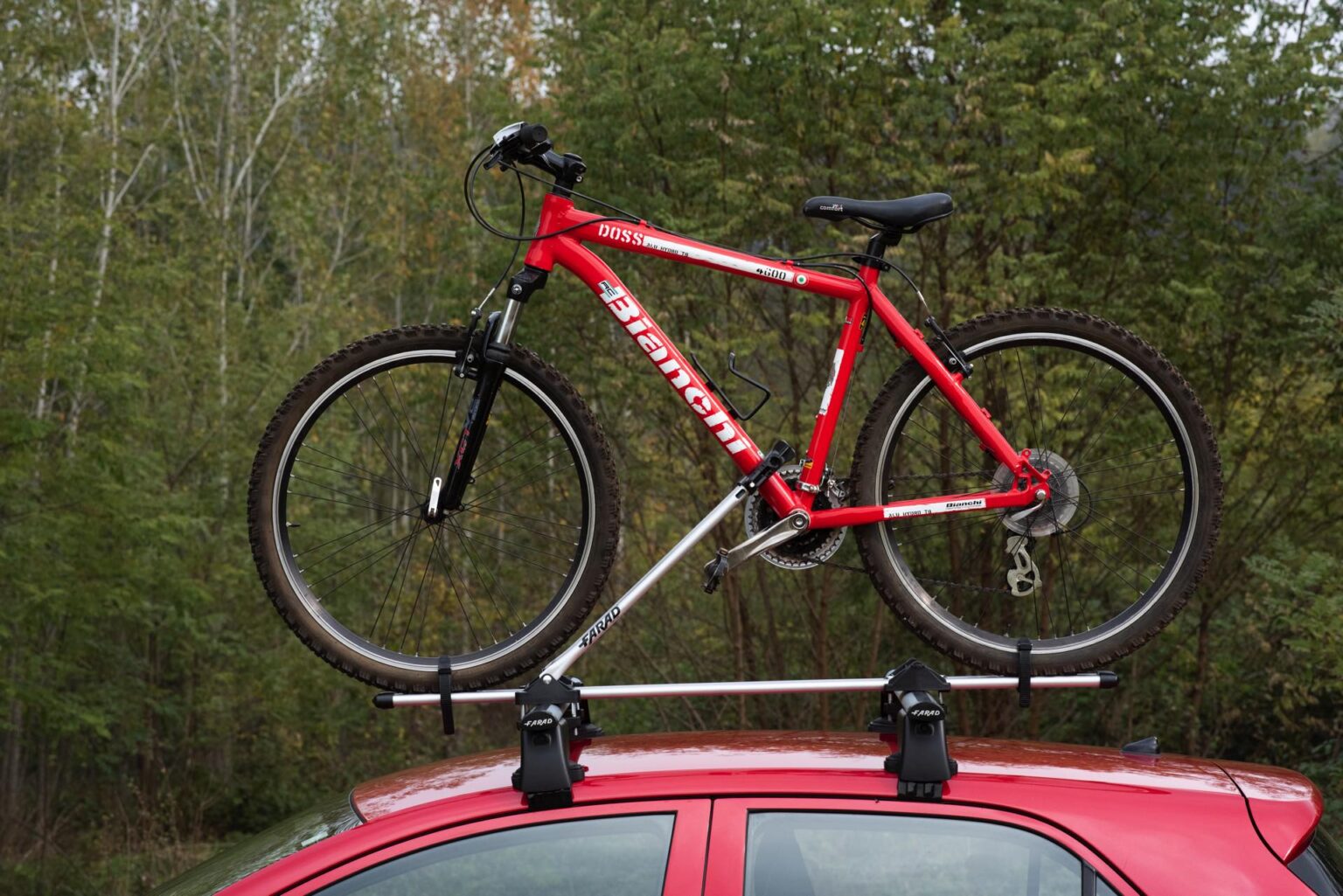 FARAD India | Your Travel Partner